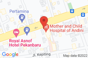 Informasi lengkap dan buat janji di RSIA Andini Pekanbaru. Biaya ...